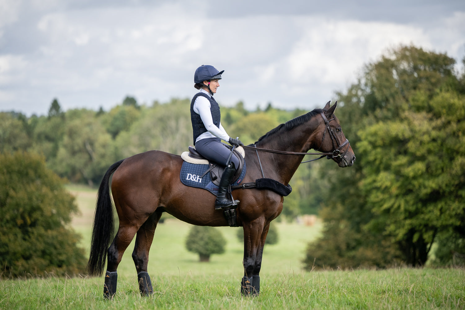 The Full Riding Protection Collection | Racesafe