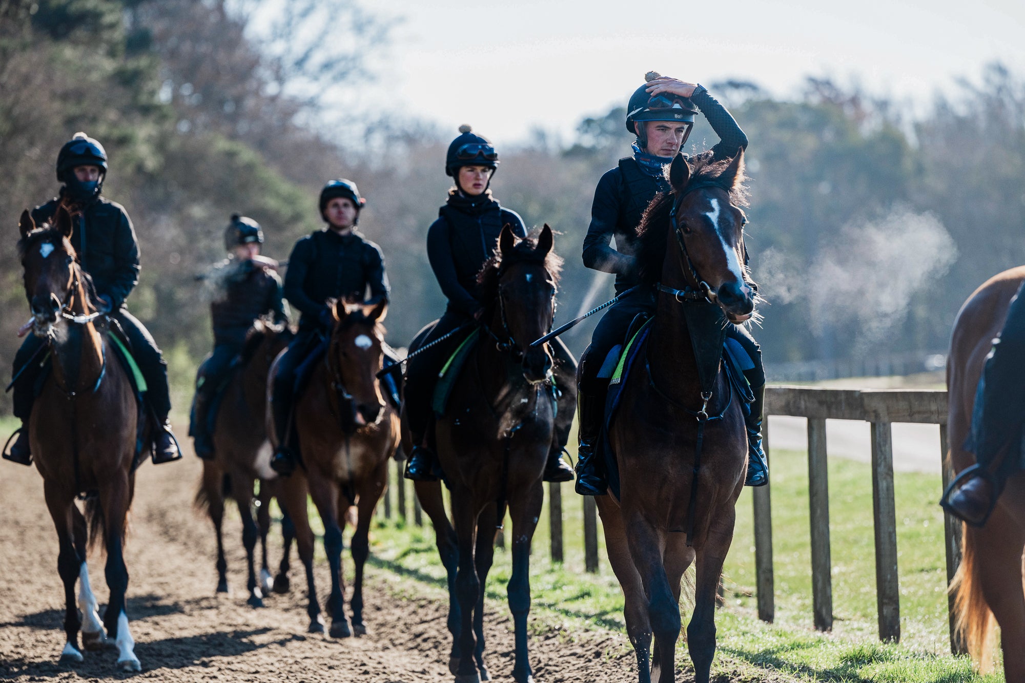 Racesafe | Horse Racing Body Protectors