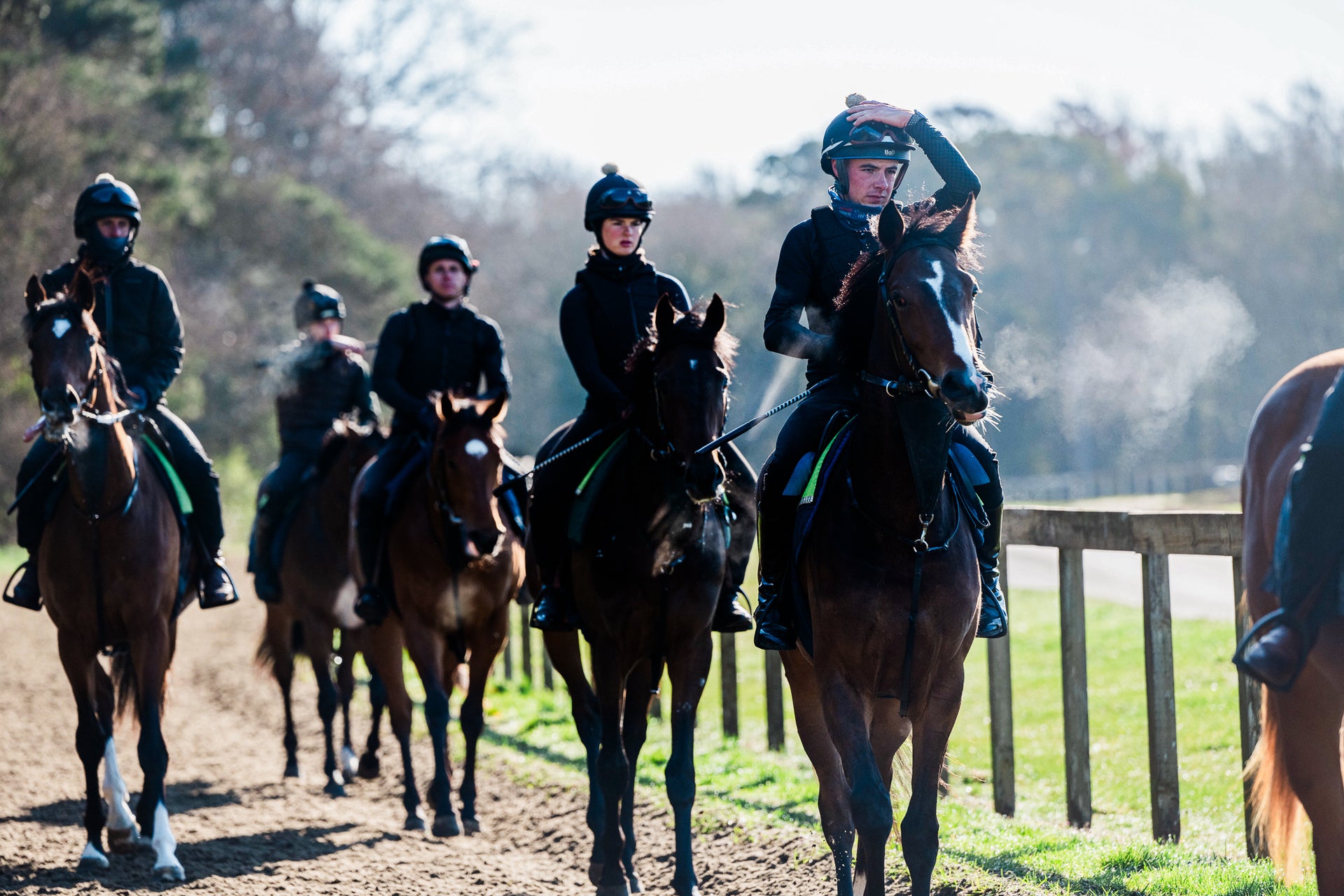 Racesafe - Equestrian Protection and Apparel